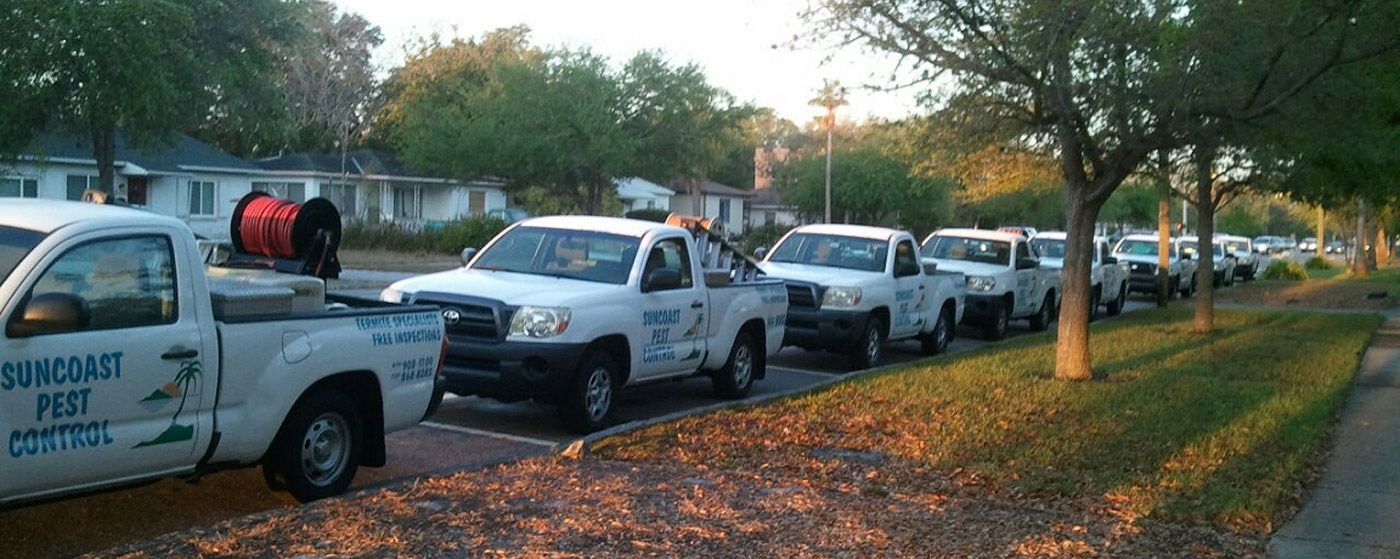 St Petersburg Pest Control Services - Tampa, Naples and Ft Lauderdale ...